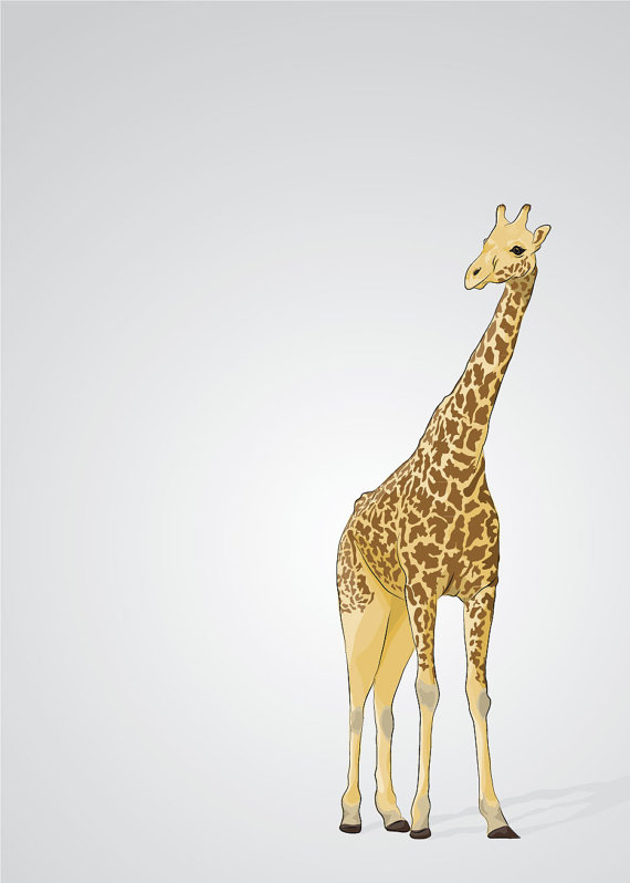 Yellow And Brown Giraffe - Gray Illustrated Print - 8 X 10 Archival ...